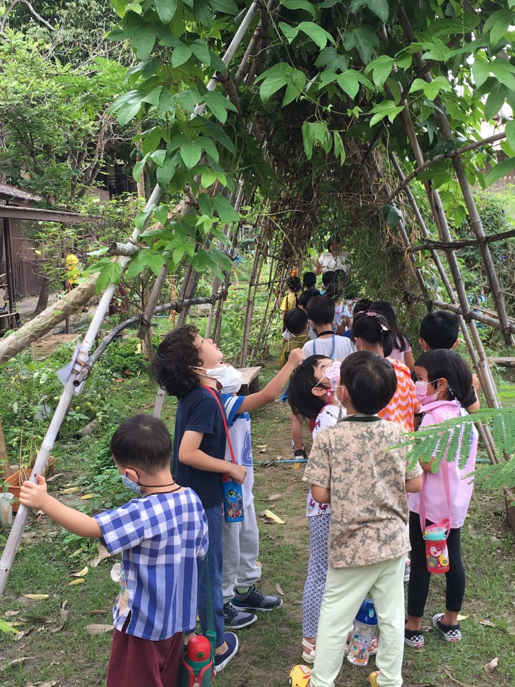 Education and Being – An Exploration of Holistic Education